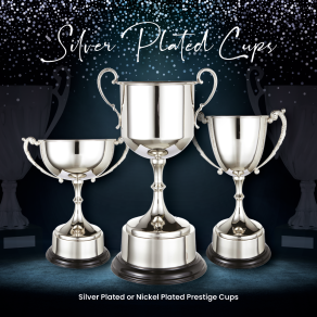 Trophies | SDL Trophy